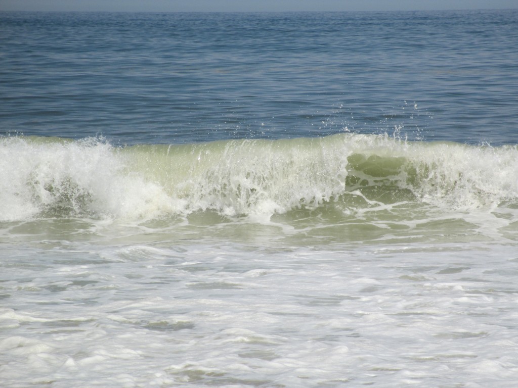 Lecounts Hollow Cape Cod Waves - Video - Cape Cod Wave