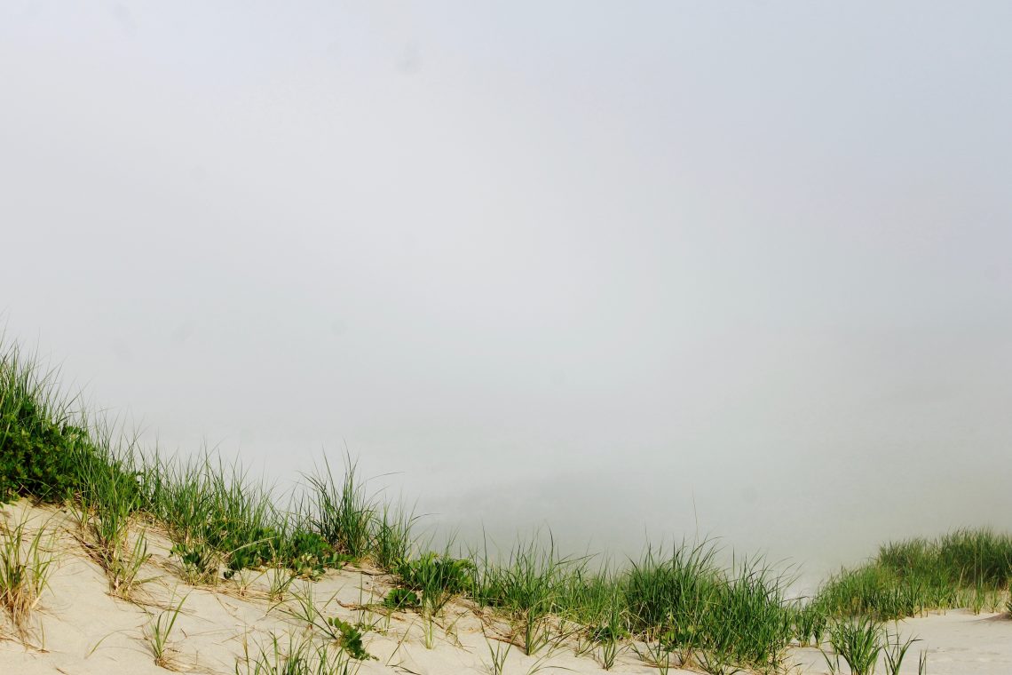 High Head Beach Fog & Sun – Slideshow - Cape Cod Wave