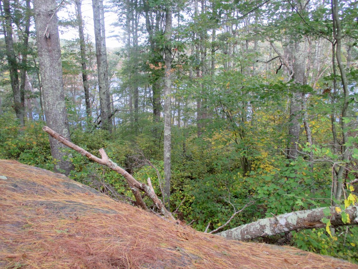 Long Walk Around Long Pond – Slideshow - Cape Cod Wave