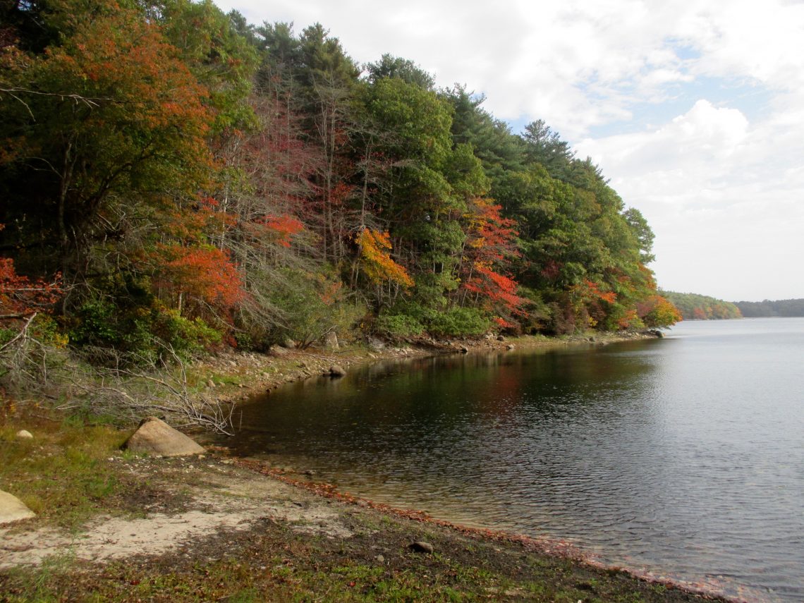 Long Walk Around Long Pond – Slideshow - Cape Cod Wave