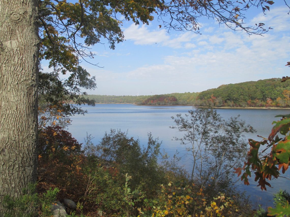 Long Walk Around Long Pond – Slideshow - Cape Cod Wave