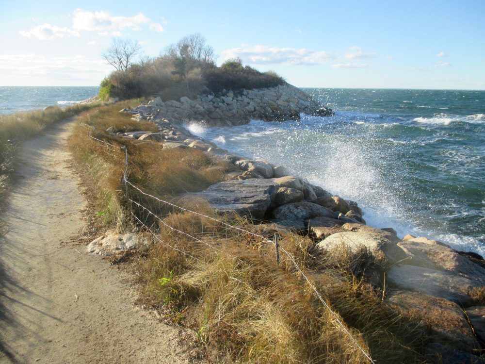 A Wet Walk At The Knob – VIDEO - Cape Cod Wave
