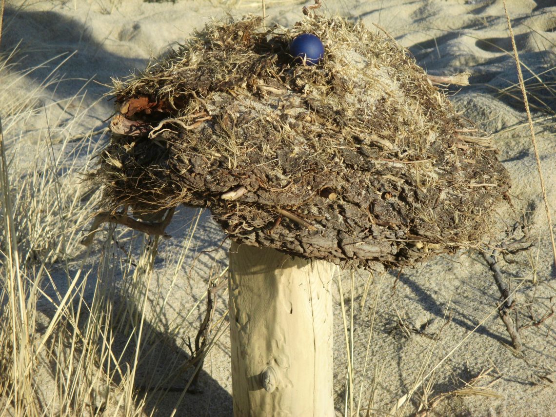 Herring Cove Beach In Winter – Slideshow - Cape Cod Wave