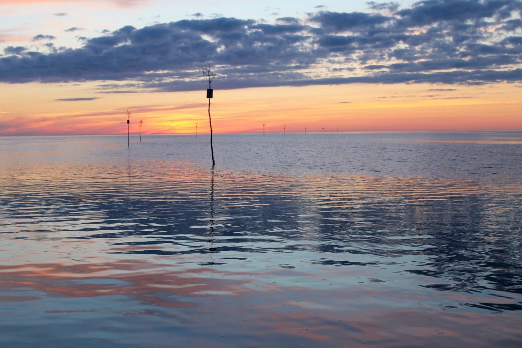 Rock Harbor Sunset – Slideshow - Cape Cod Wave