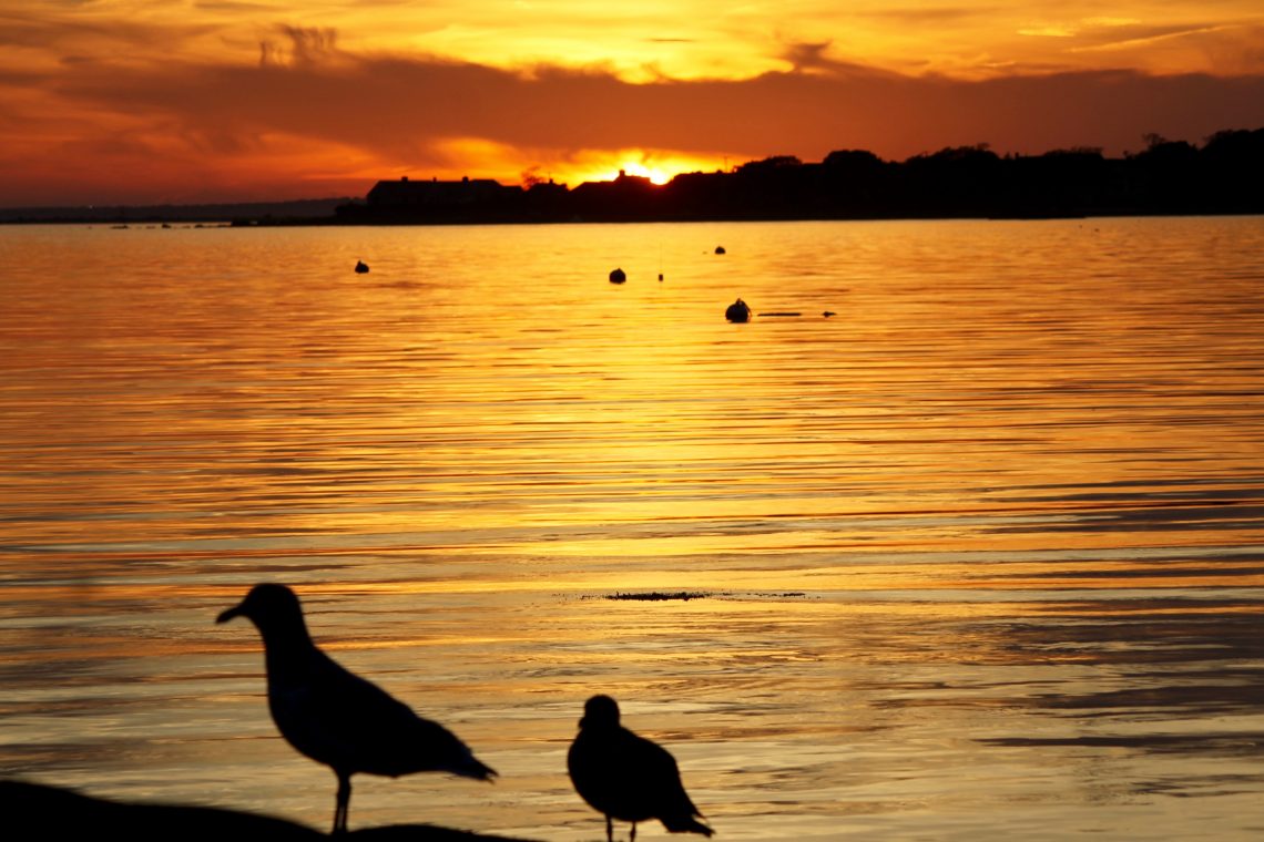 Golden Sunset At Monument Beach – Slideshow - Cape Cod Wave