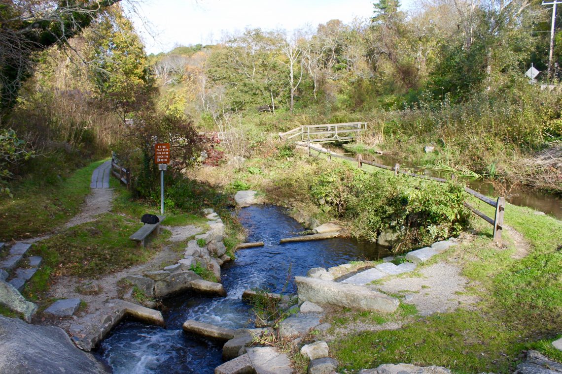 Stony Brook Herring Run Autumn Paradise – SlideShow - Cape Cod Wave