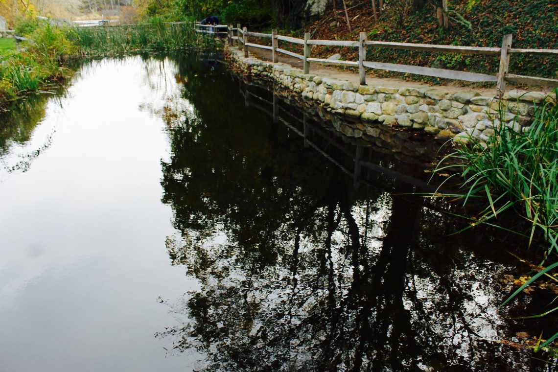 Stony Brook Herring Run Autumn Paradise – SlideShow - Cape Cod Wave