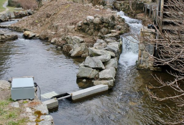 Early Bird Special at the Stony Brook Herring Run in Brewster - Cape ...