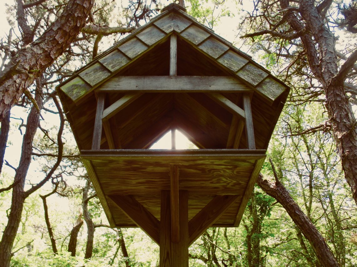 Old Colony Nature Pathway, Foss Woods & Whistle Path Woods – Slideshow ...