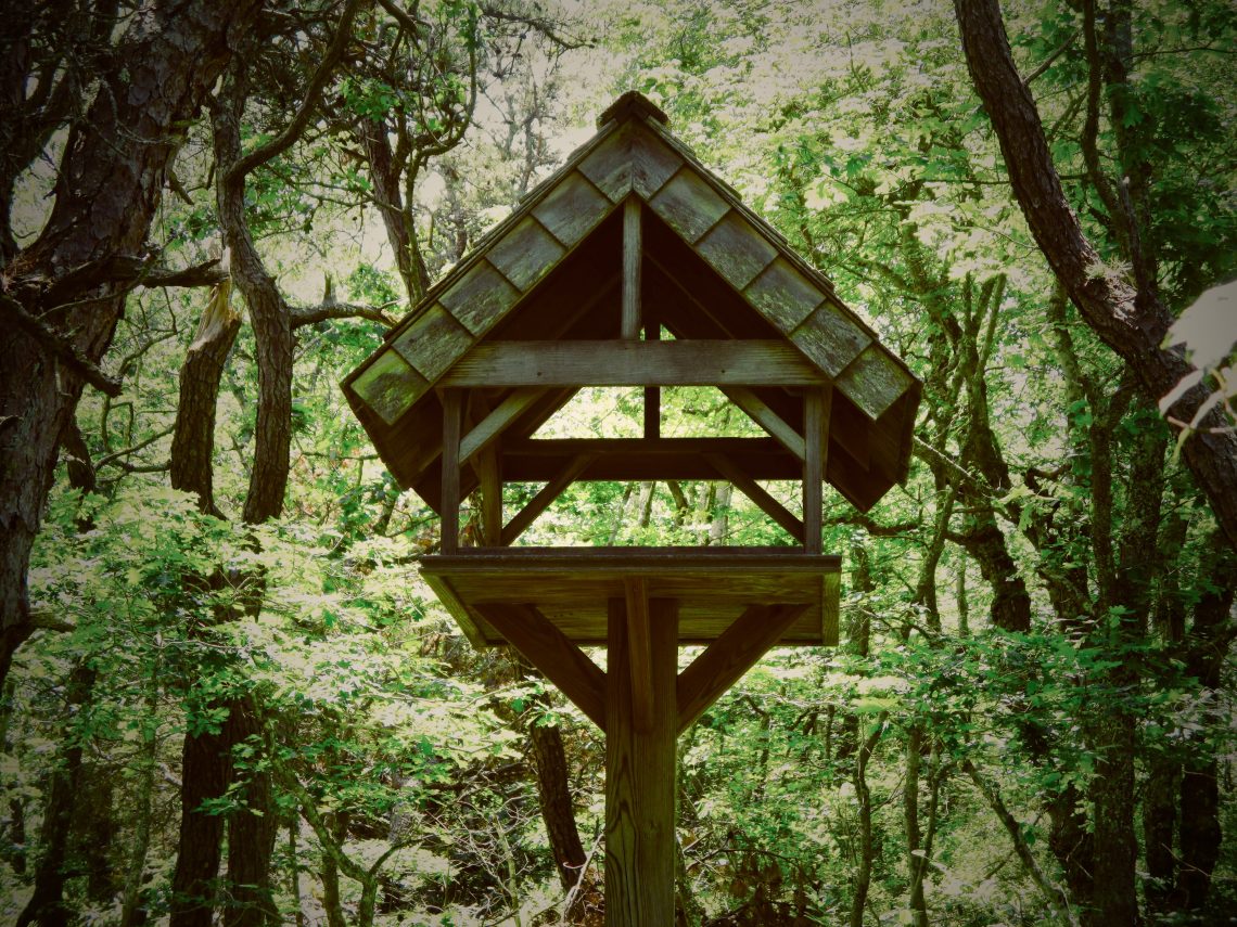 Old Colony Nature Pathway, Foss Woods & Whistle Path Woods – Slideshow ...