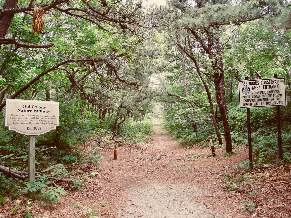 Old Colony Nature Pathway, Foss Woods & Whistle Path Woods – Slideshow ...