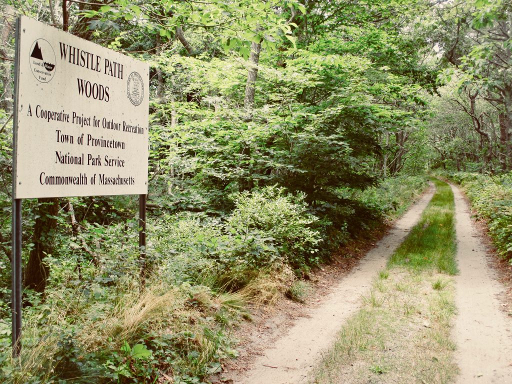 Old Colony Nature Pathway, Foss Woods & Whistle Path Woods – Slideshow ...