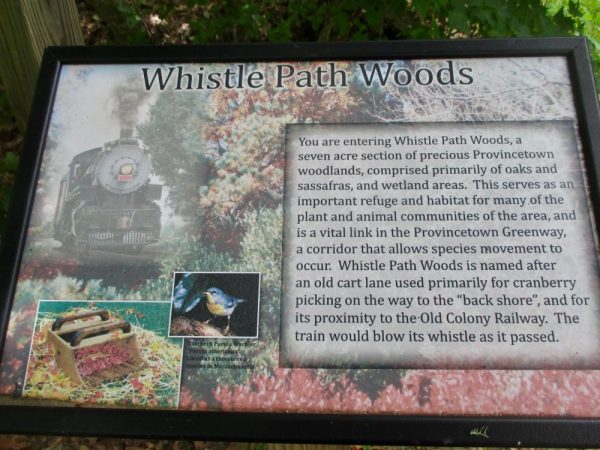 Old Colony Nature Pathway, Foss Woods & Whistle Path Woods – Slideshow ...