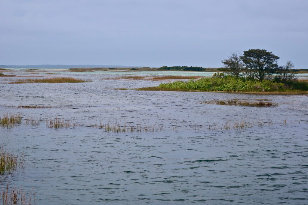 High Tide, Great Sippewissett Marsh – Slideshow - Cape Cod Wave