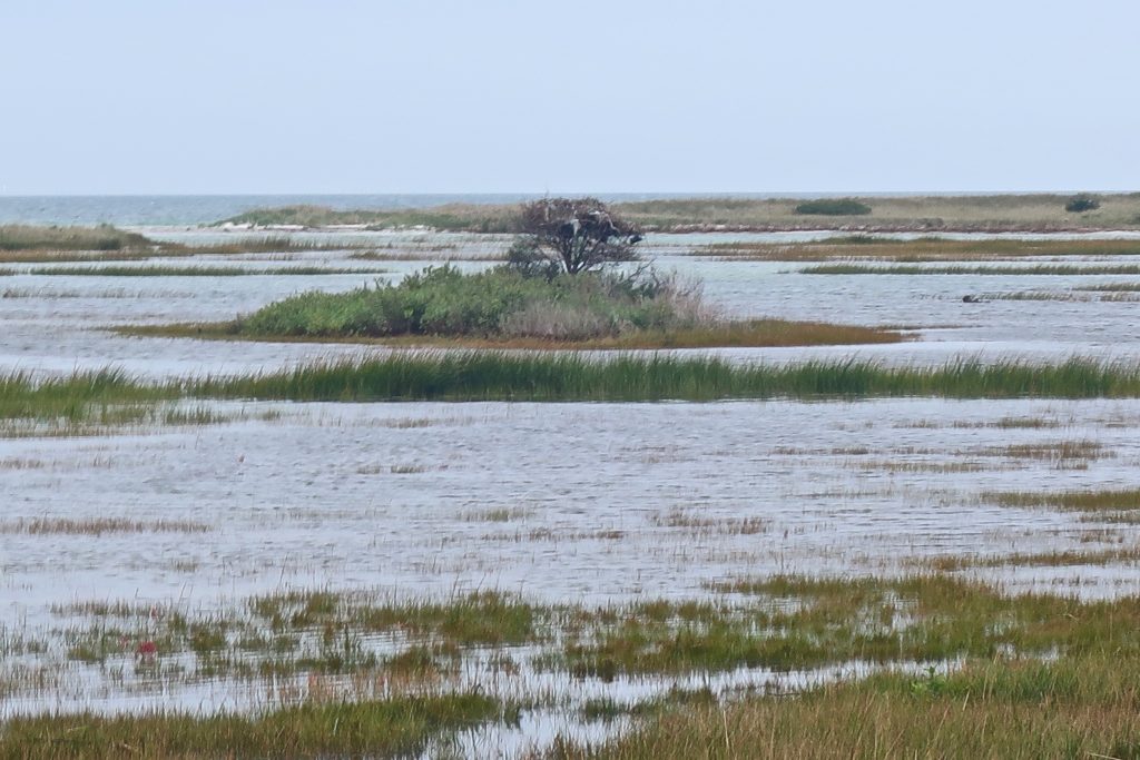 High Tide, Great Sippewissett Marsh – Slideshow - Cape Cod Wave