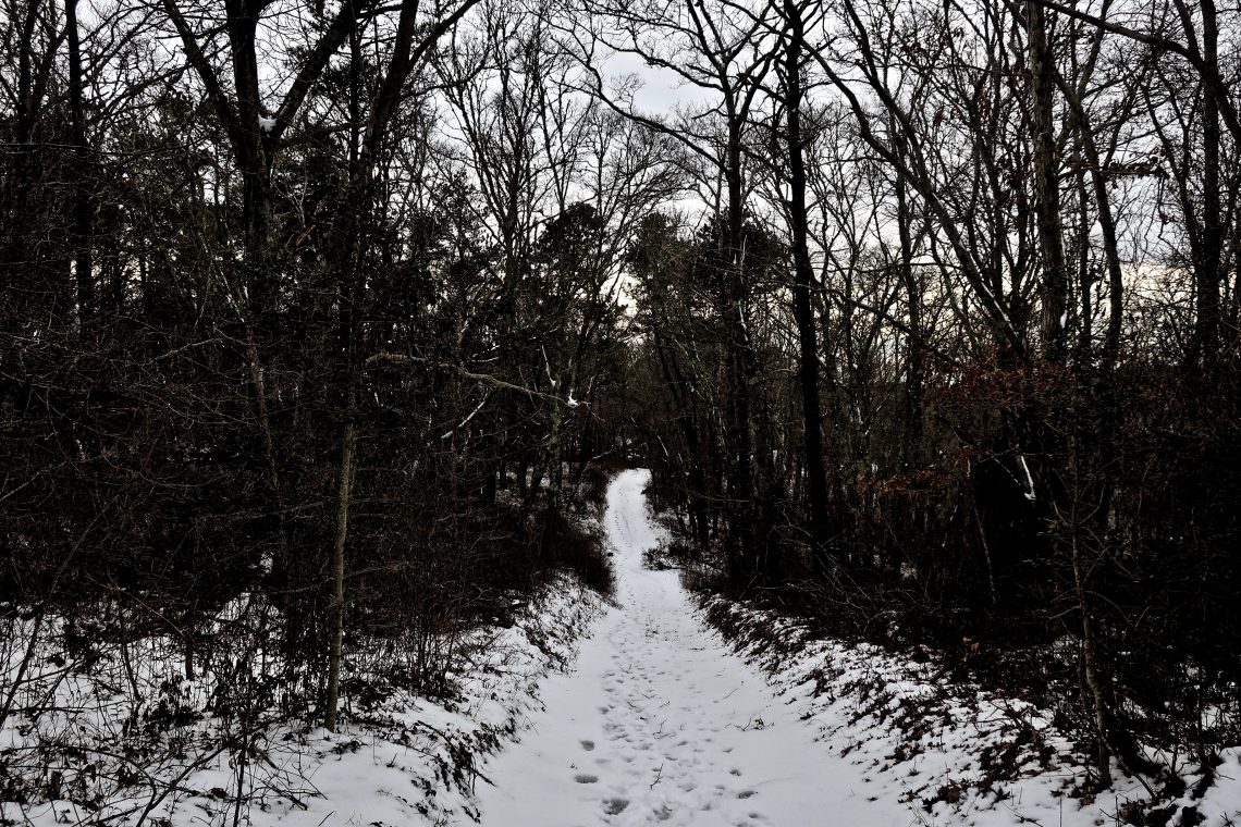 Peters Pond – Slideshow - Cape Cod Wave