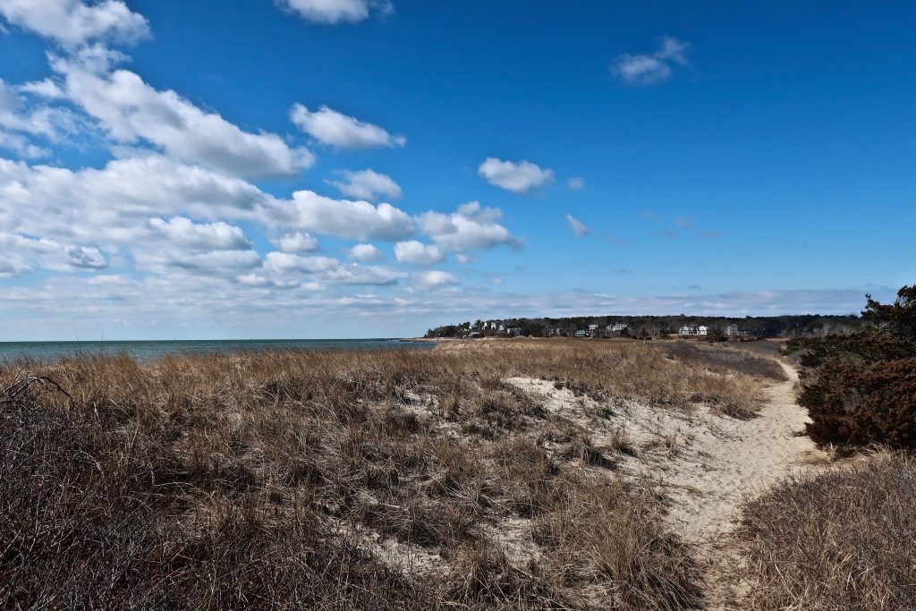 Pretty As A Picture; Forest Beach, The Marsh Behind & More – SLIDESHOW - Cape Cod Wave