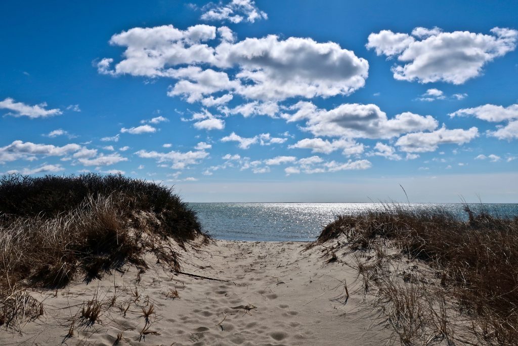 Pretty As A Picture; Forest Beach, The Marsh Behind & More – SLIDESHOW ...
