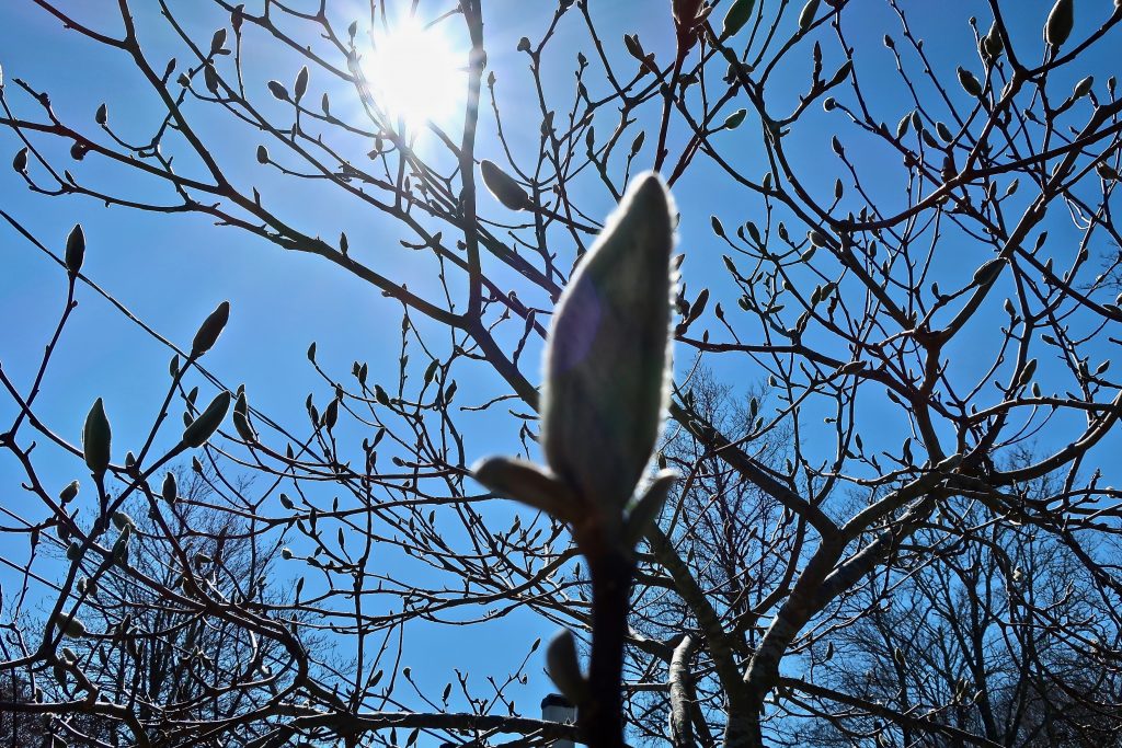 An Optimist’s Guide To Cape Cod Spring - Cape Cod Wave