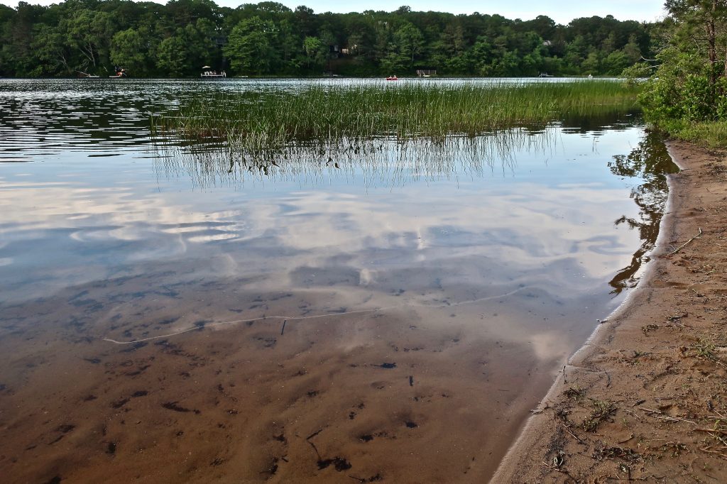Sand Pond, Harwich – Slideshow - Cape Cod Wave