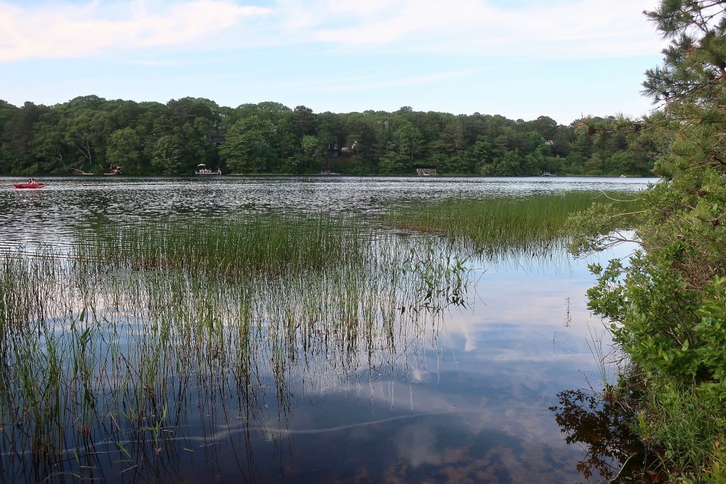 Sand Pond, Harwich – Slideshow - Cape Cod Wave