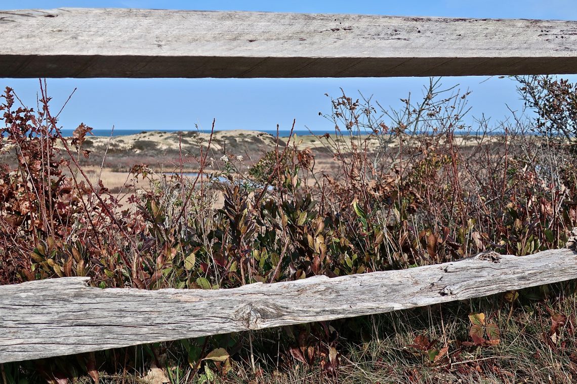 Pilgrim Spring Trail & Small’s Swamp Trail – Slideshow - Cape Cod Wave