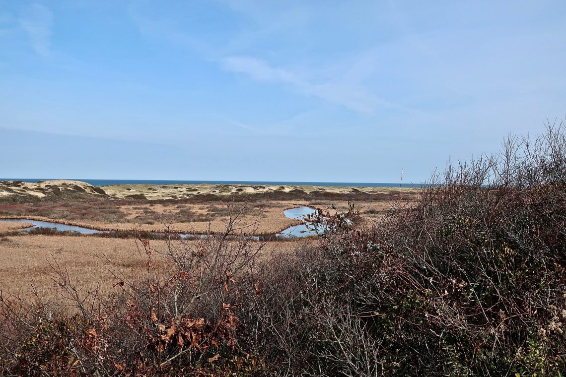 Pilgrim Spring Trail & Small’s Swamp Trail – Slideshow - Cape Cod Wave