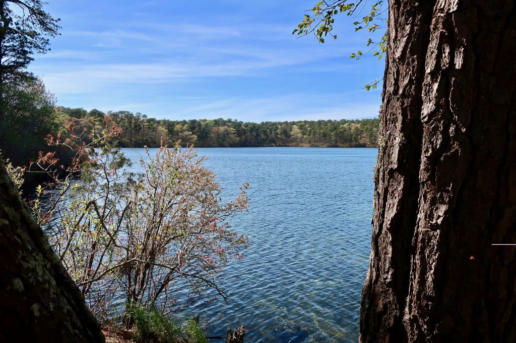 Hathaway’s Pond – Slideshow - Cape Cod Wave