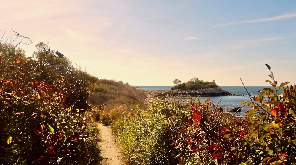 A 2-Minute Walk At The Knob – VIDEO - Cape Cod Wave