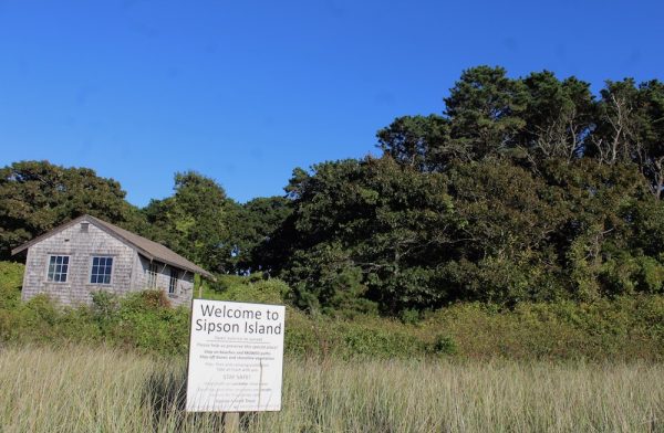 Conservation Success in Orleans: Sipson Island Preserved - Cape Cod Wave