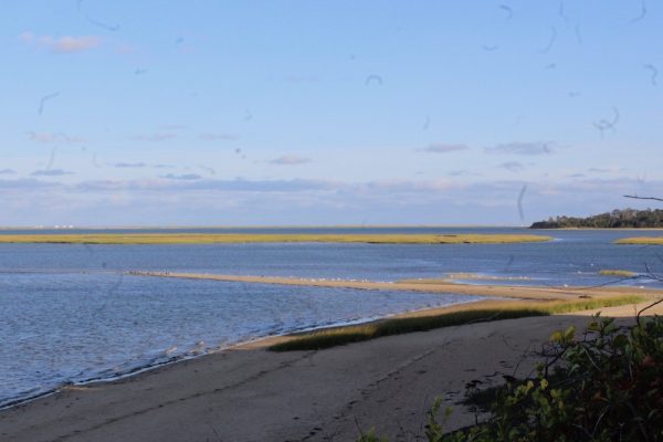 Conservation Success in Orleans: Sipson Island Preserved - Cape Cod Wave