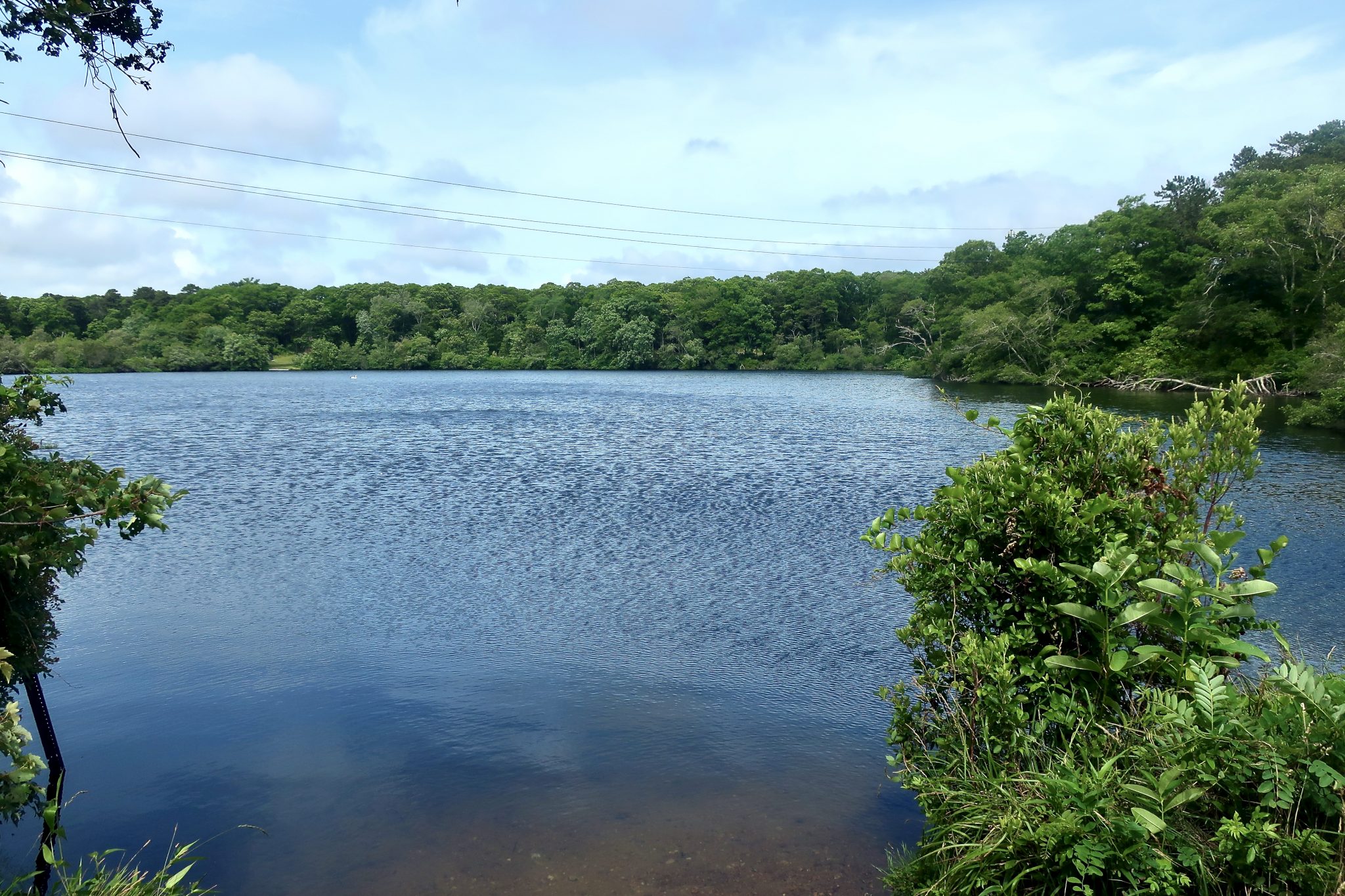 Lower Coonamessett River Conservation Lands, Falmouth – Slideshow ...