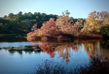 Cape Cod Wave Magazine