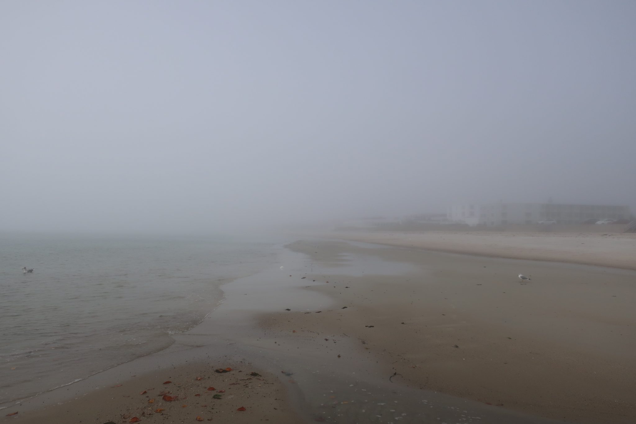 Old (foggy) Silver Beach – Slideshow - Cape Cod Wave