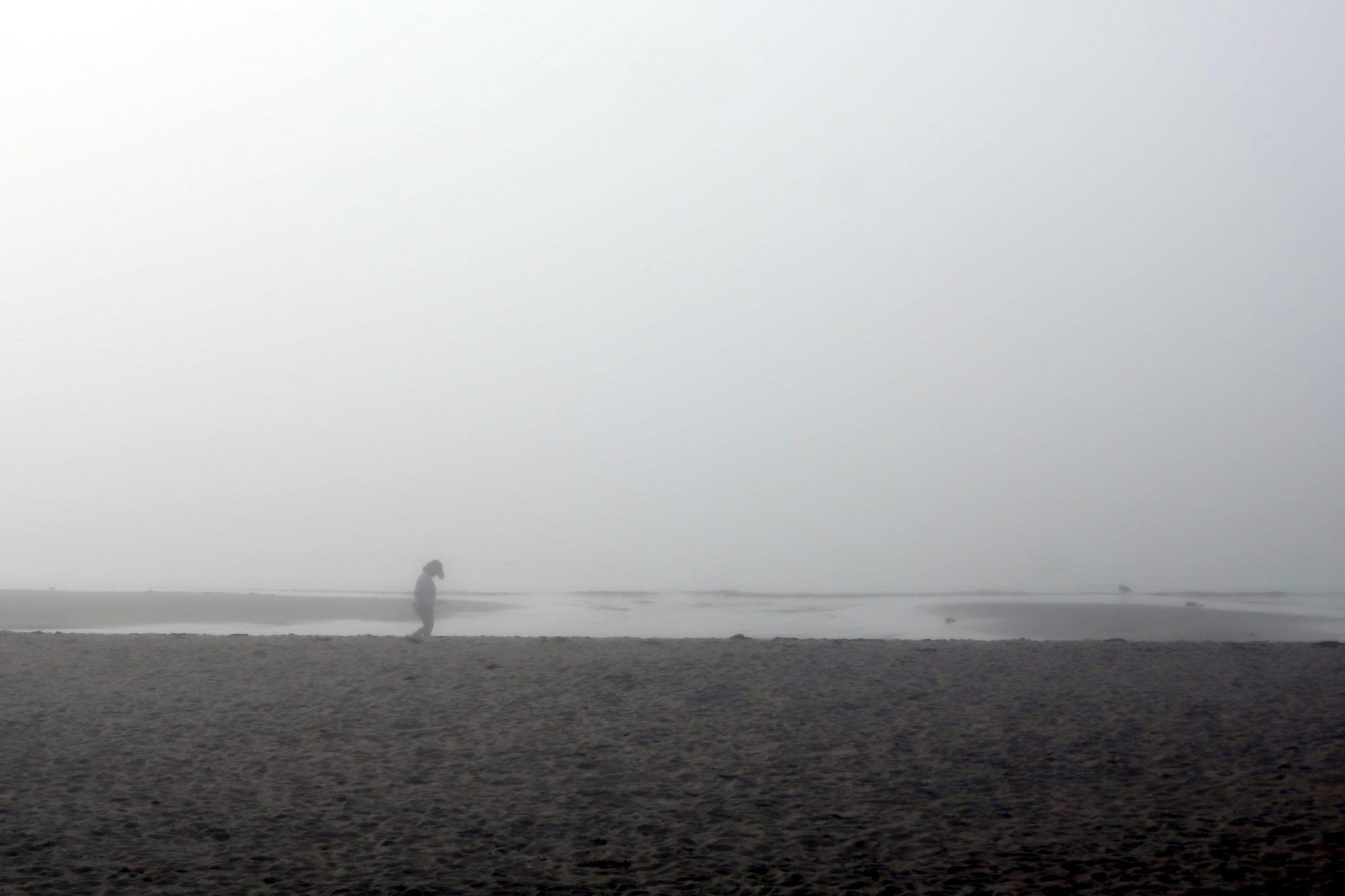Old (foggy) Silver Beach – Slideshow - Cape Cod Wave