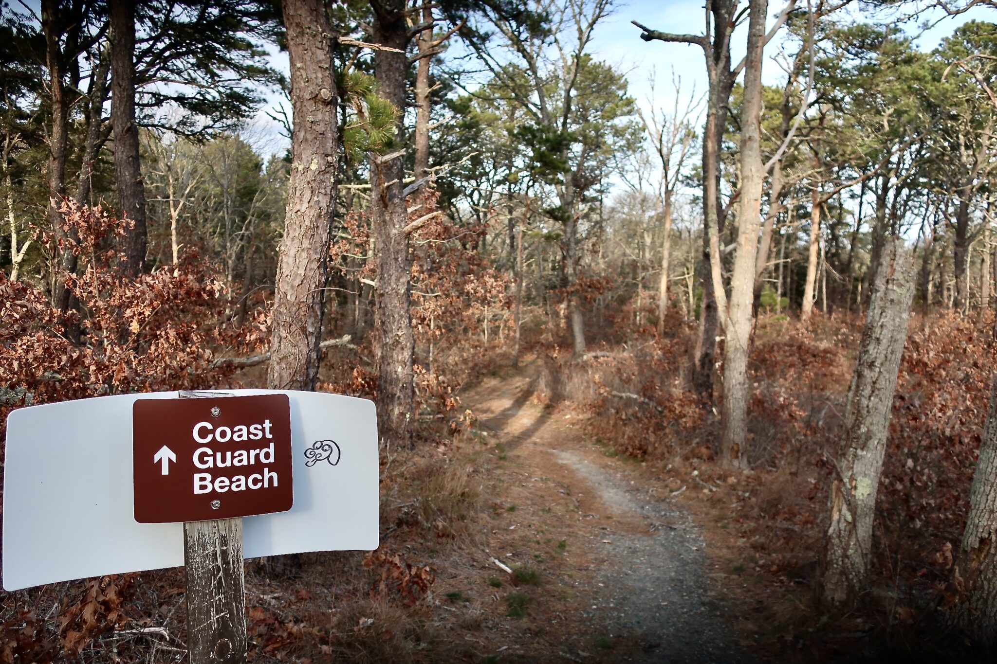 From Doane Rock To Coast Guard Beach – Slideshow - Cape Cod Wave