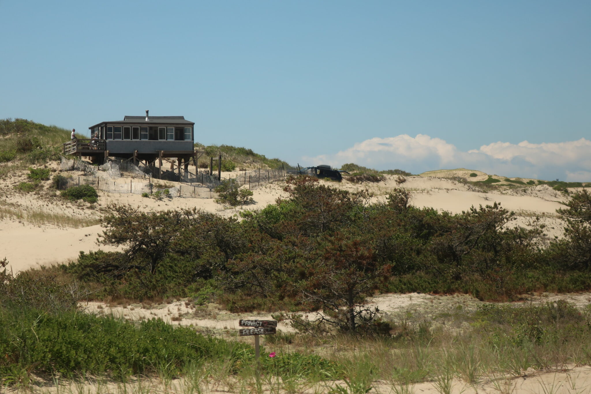 A Tour Through the Provincelands Dunes - Cape Cod Wave