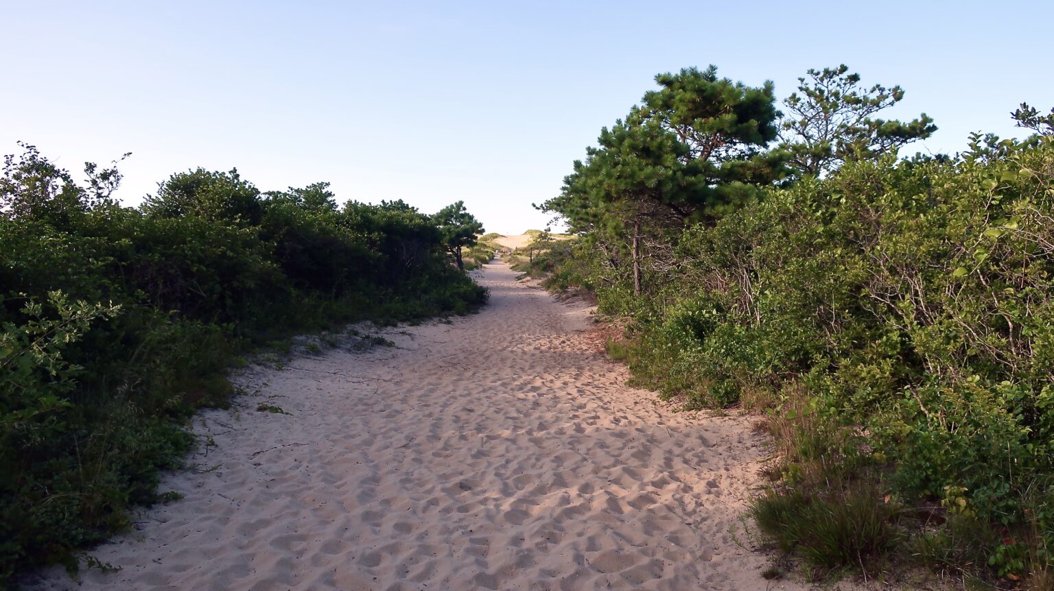 High Head Beach, Truro – Slideshow - Cape Cod Wave