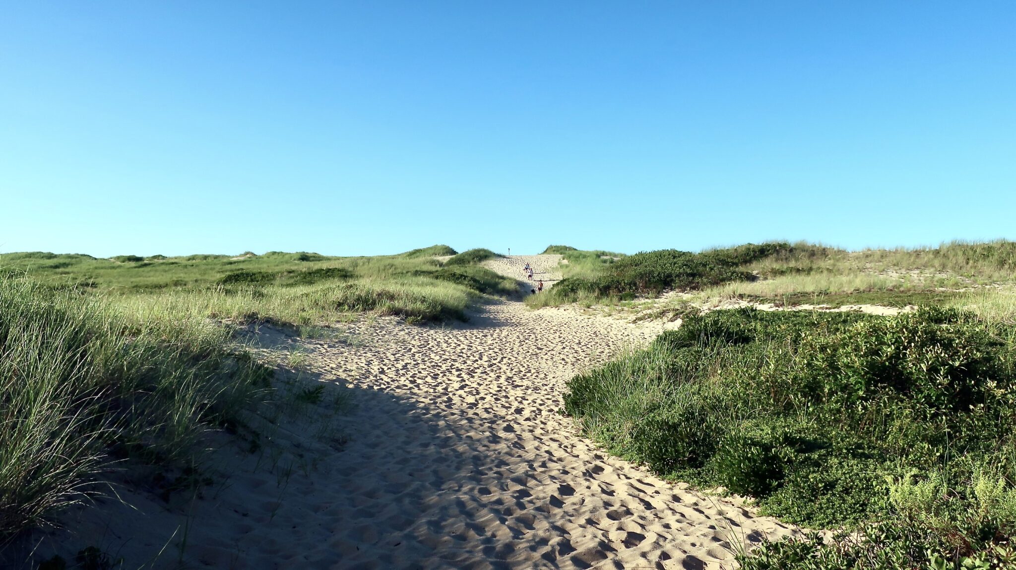 High Head Beach, Truro – Slideshow - Cape Cod Wave