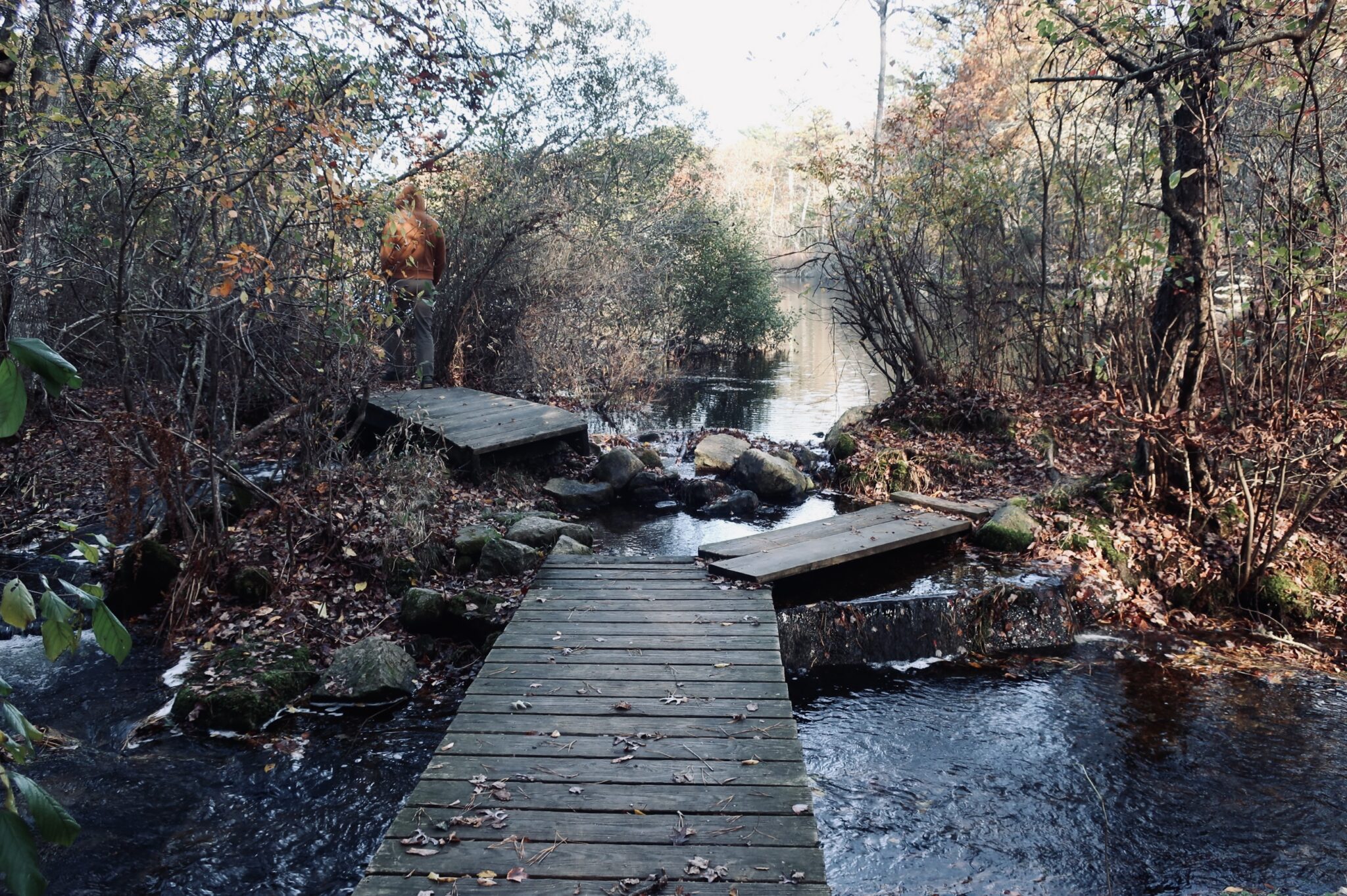 Four Ponds Conservation Area, Bourne – Slideshow - Cape Cod Wave