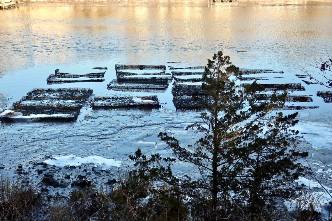 Mashpee River Woodlands; DesRosier Property – SLIDE SHOW - Cape Cod Wave