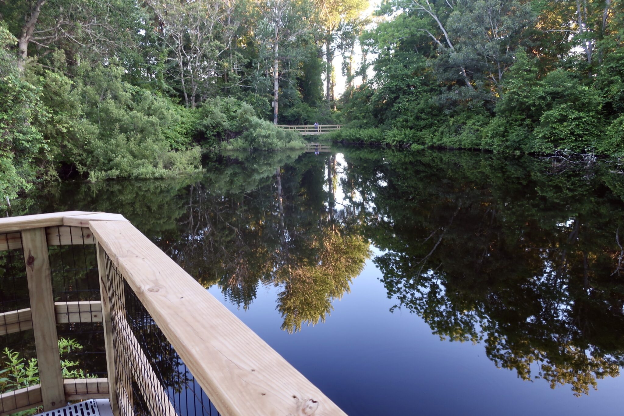 Long Pond Wildlife Sanctuary, Barnstable – Slide Show - Cape Cod Wave