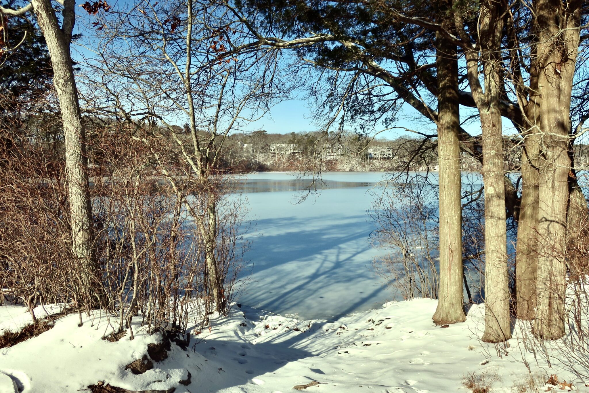 Bourne Farm and Cranberry Bogs – Slide Show - Cape Cod Wave