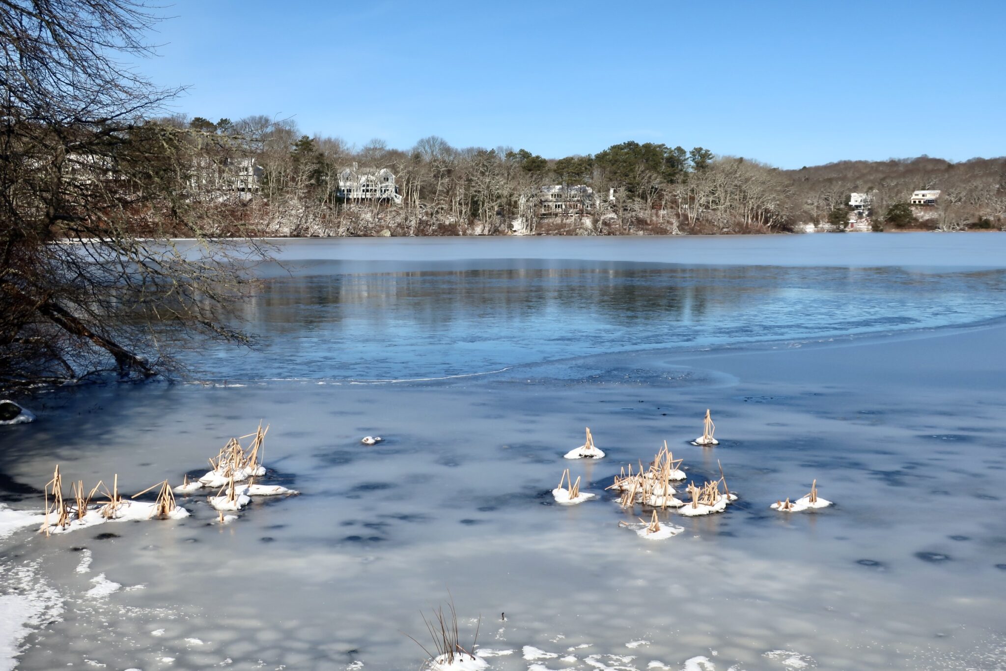Bourne Farm and Cranberry Bogs – Slide Show - Cape Cod Wave