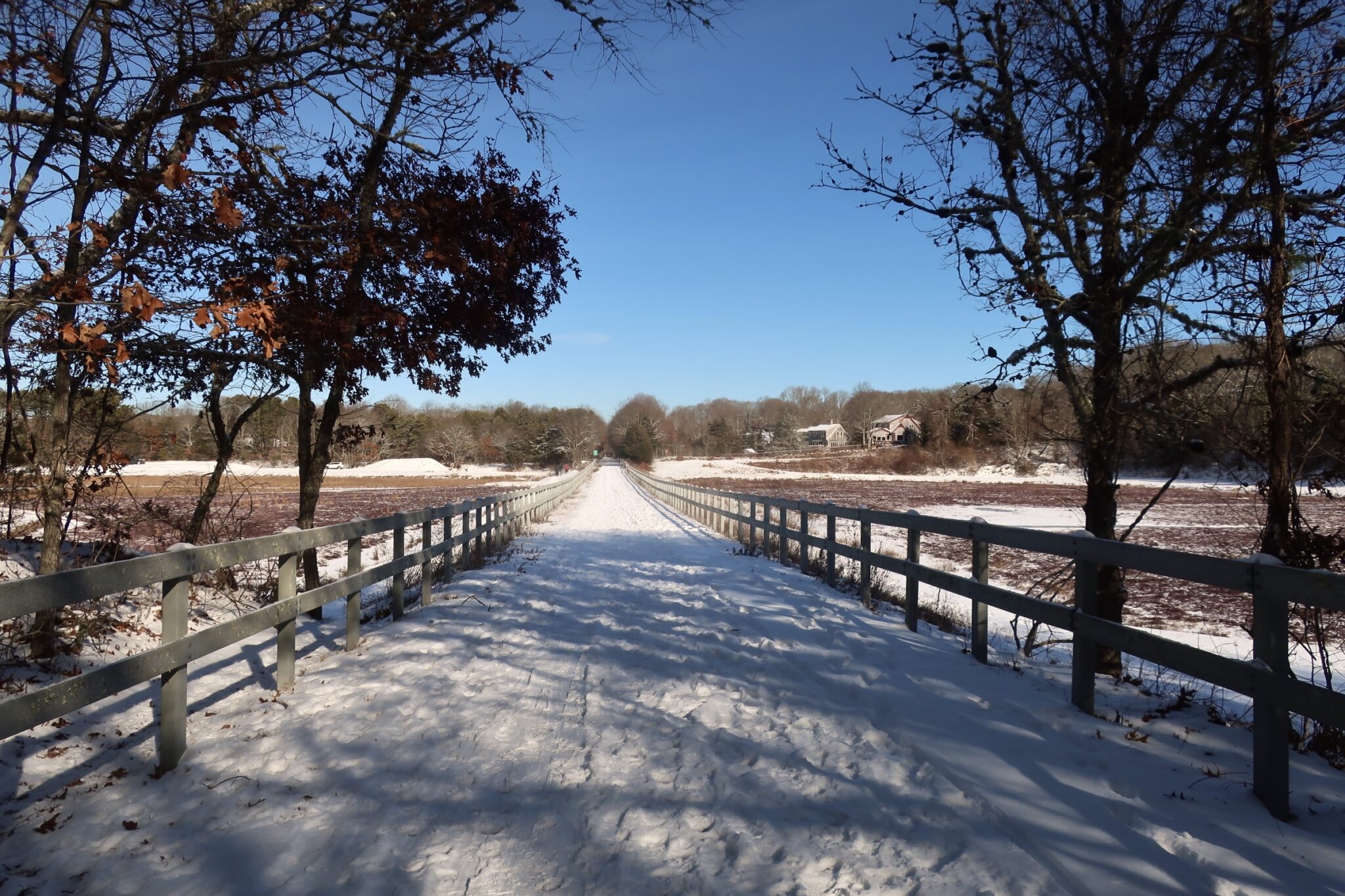 Bourne Farm and Cranberry Bogs – Slide Show - Cape Cod Wave
