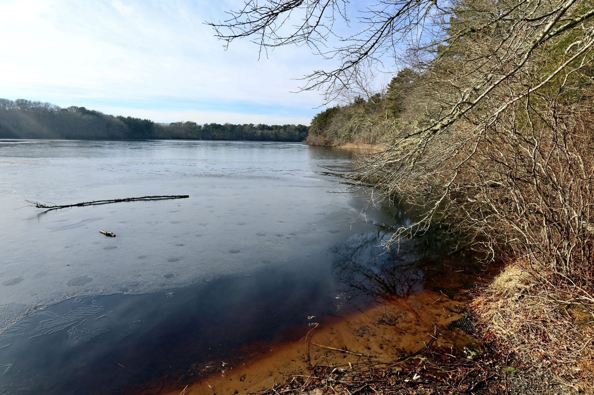 Fresh Pond Conservation Land, Dennis – Slide Show - Cape Cod Wave