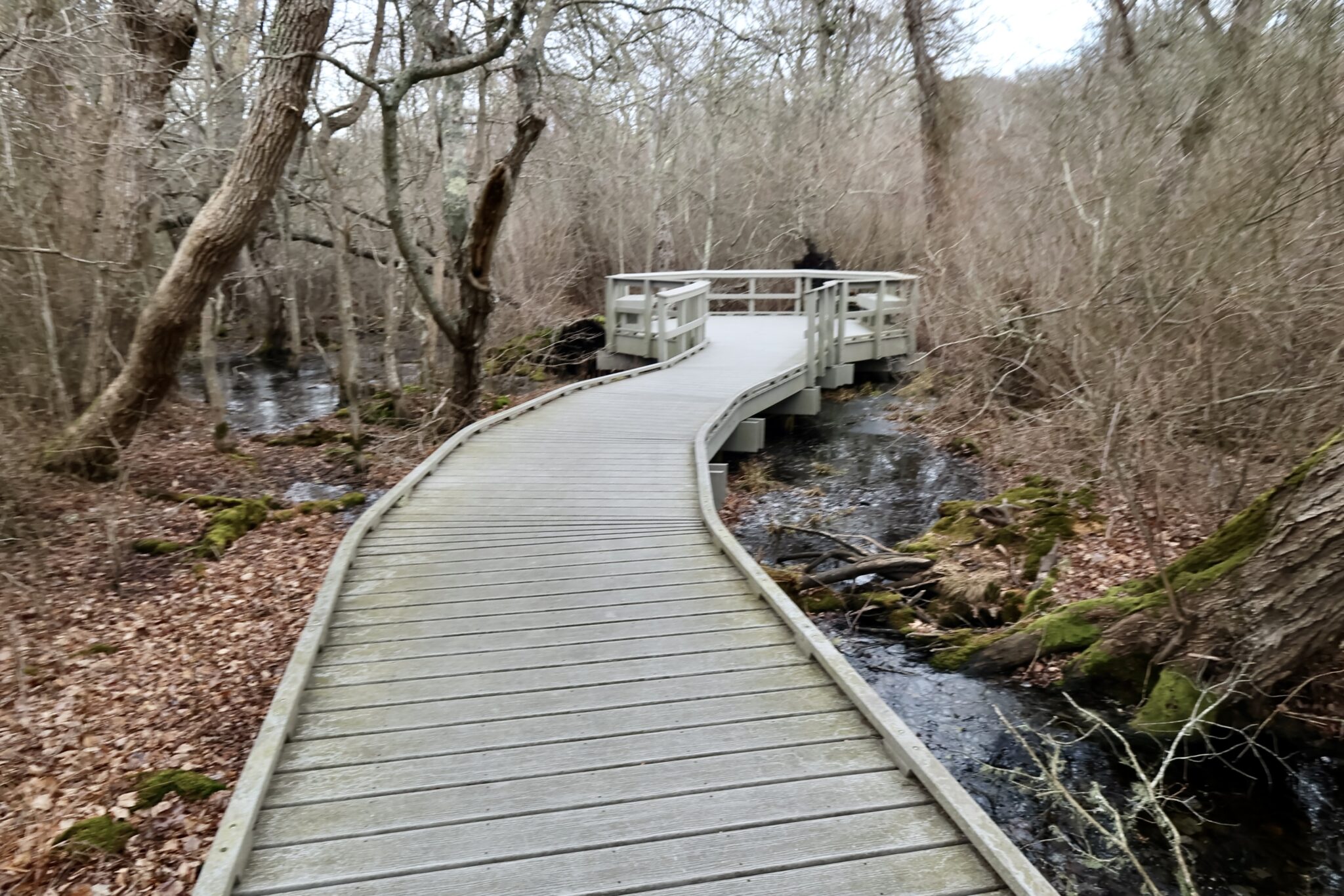 Fort Hill; Penniman House; Red Maple Swamp & Hemenway Landing – Slide ...